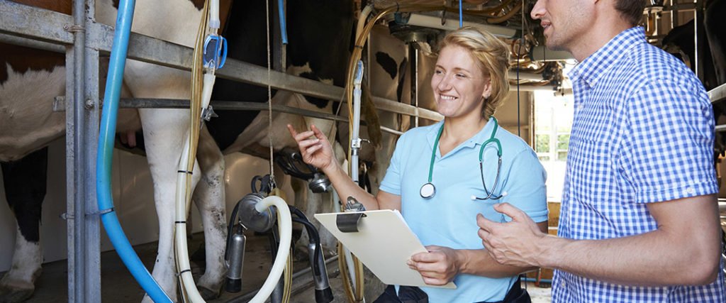 Dairy Cow Tests - Blushield Australia